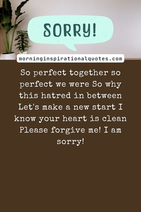 I Am Sorry messages