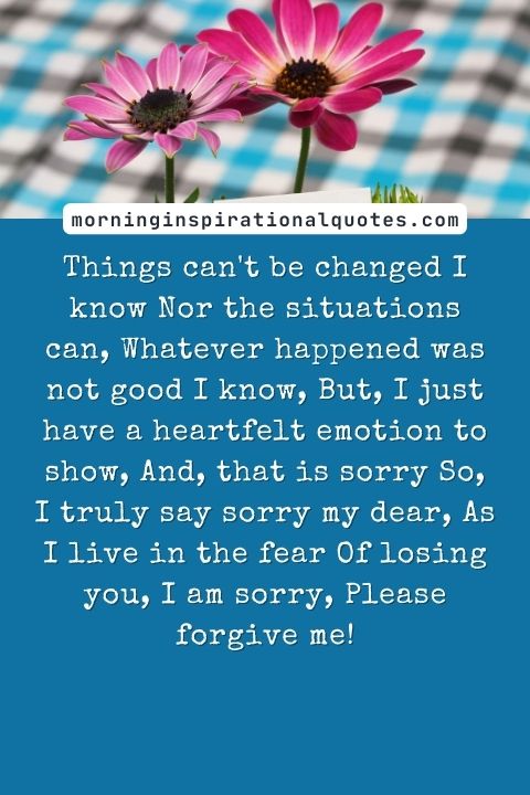 Sorry Poems For Her